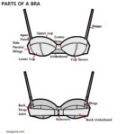 Parts Of A Bra : An Overview Of The Bra Anatomy - SewGuide